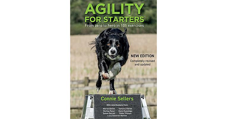 Agility for Starters - From Zero to Hero in 101 Exercises - Clean Run