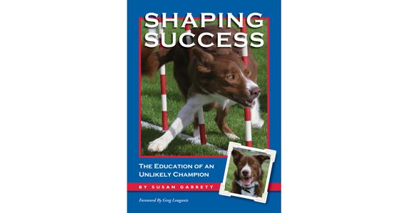 Shaping Success - Clean Run