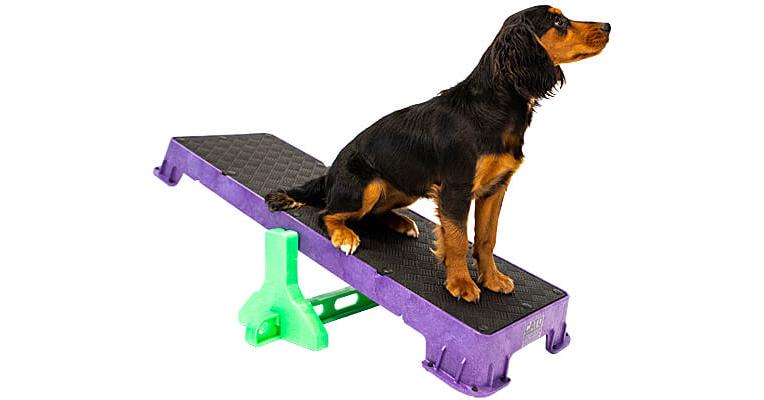 Cato Plank XL Training Platform with Tilt Stand - Clean Run