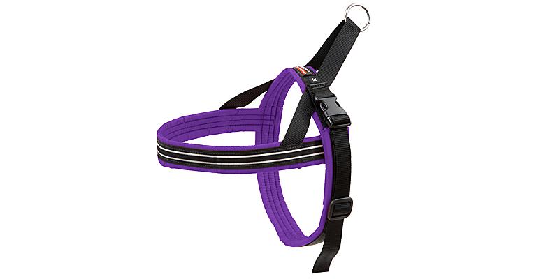 ComfortFlex Padded Sport Harness - Clean Run