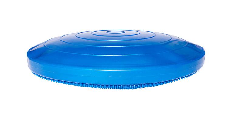 FitPAWS Balance Disc - 22 in. - Clean Run
