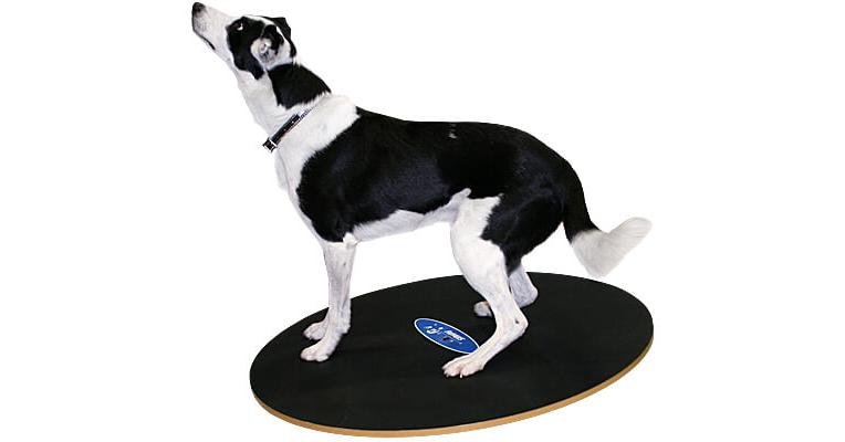 FitPAWS Wobble Board - 36 in. - Clean Run