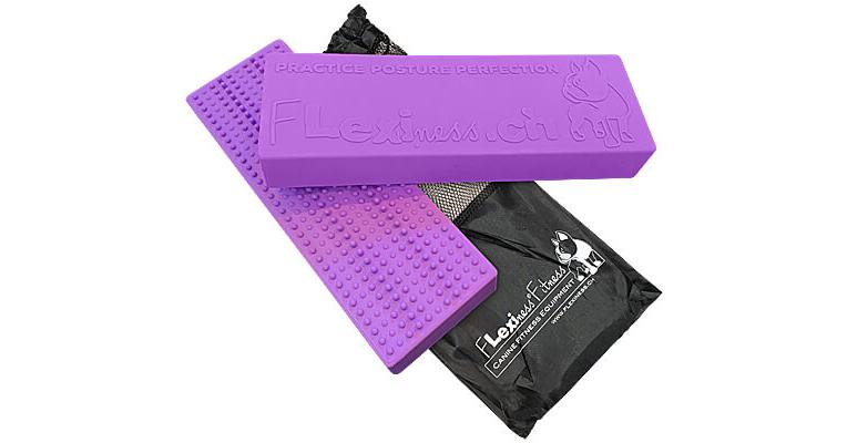 Flexiness StackingBar - Light Purple, Larger & Beginner Dogs - Clean Run