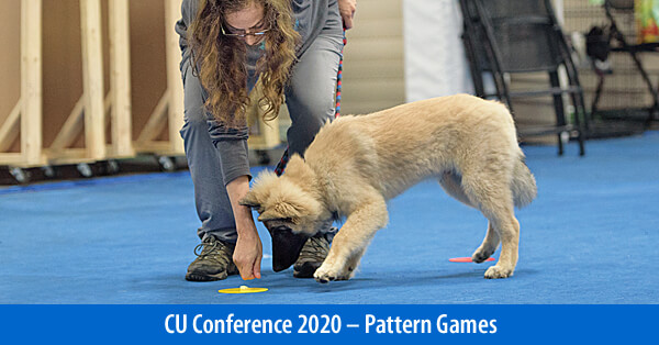 Pattern Games - Clean Run