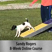 New at Clean Run - Clean Run