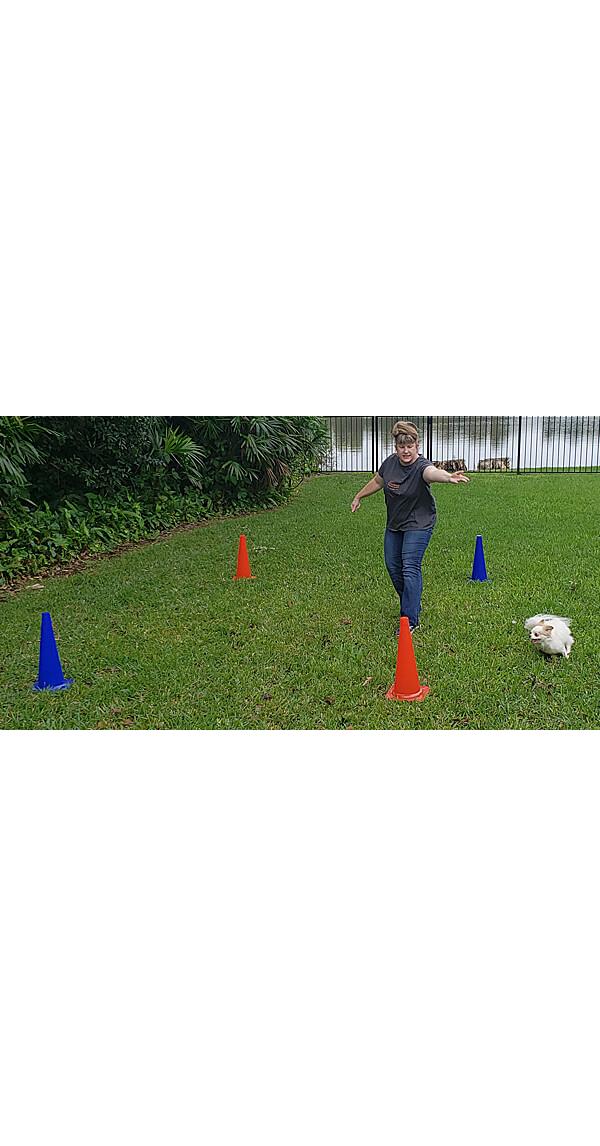 Beyond One More Step - Clean Run