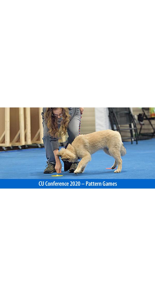 Pattern Games - Clean Run