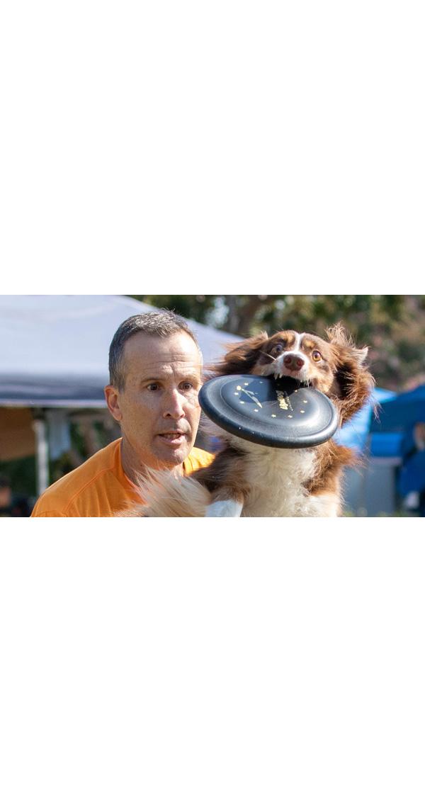 Disc Dog Foundations - Clean Run