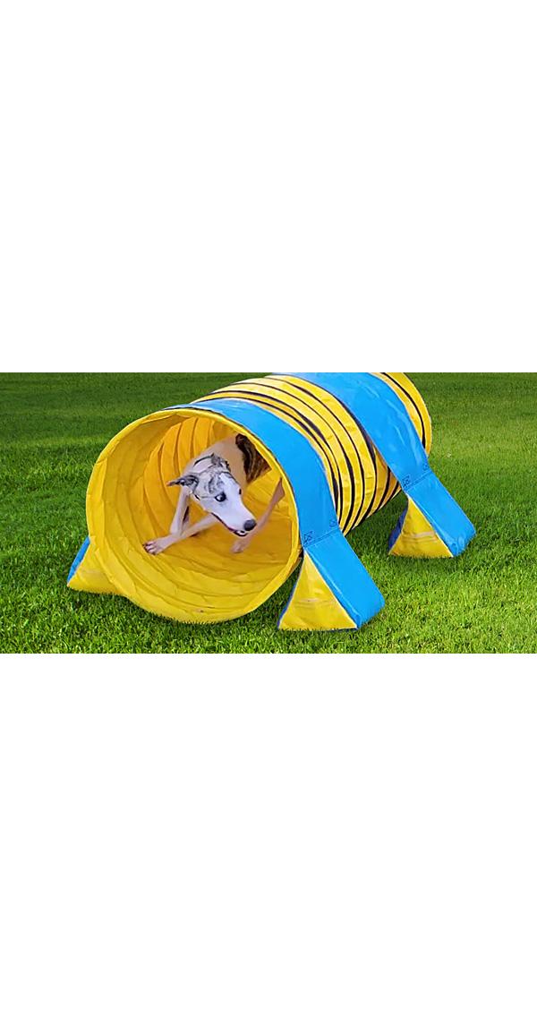 60 Things To Do with a Short (or Long) Tunnel in Your Backyard - Clean Run