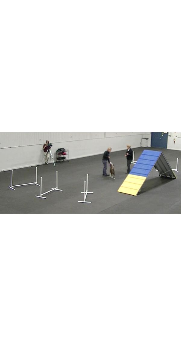 Contact Grids for Better Footwork & Safe Approaches - Clean Run