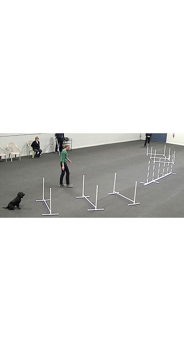 Weave Pole Grids for Improving Footwork - Clean Run