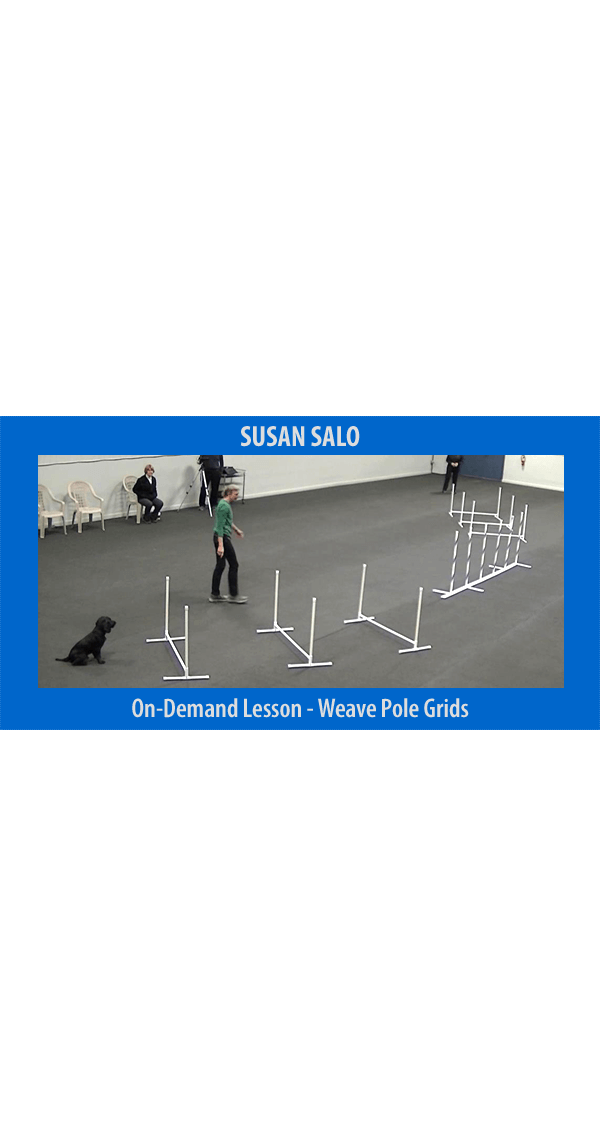Weave Pole Grids for Improving Footwork - On-Demand Lesson - Clean Run