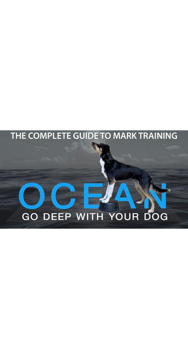 The Complete Guide to Mark Training - Clean Run
