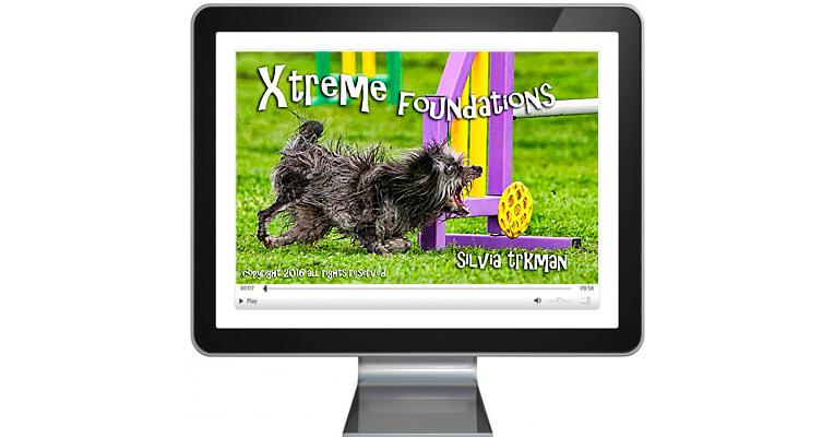 Xtreme Foundations - Clean Run