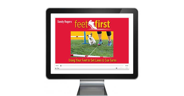 Feet First - Using Your Feet to Set Lines & Cue Turns - Clean Run