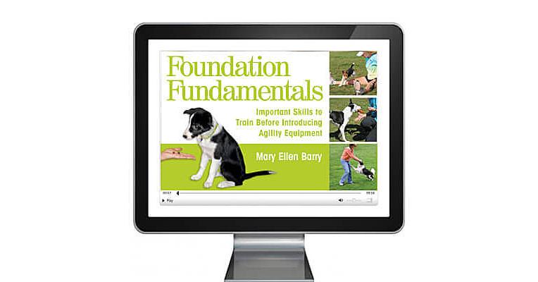 Foundation Fundamentals - Clean Run