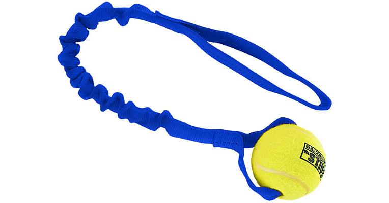 Bene's Bungee Ball Tug - Clean Run