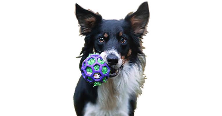 Doggie-Zen Hol-ee Stuffer - Faux Fur with Crinkle - Clean Run