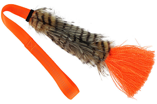 Wild Thing Tail Tug - Clean Run